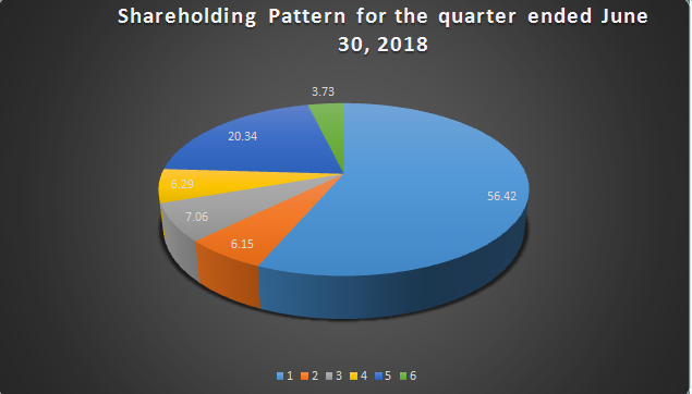 Share Holding Pattern | IFCI
